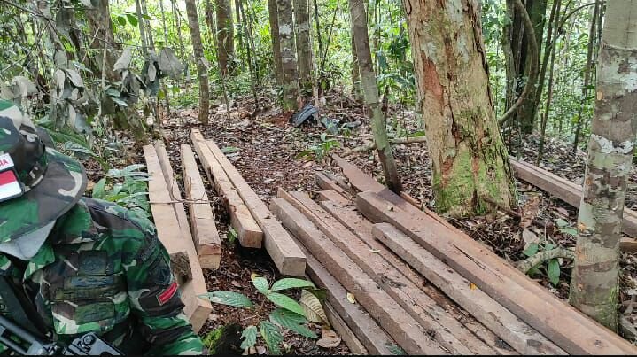 Patroli Patok Perbatasan, Satgas Yonif 407 Temukan Kayu Hasil ...